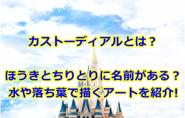 ディズニーのほうきとちりとりには名前がある?水で絵を描くカストーディアルとは? 曇りときどきハレ通信